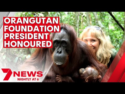 Kobe Steele honoured for service to conservation and the environment ...