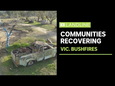 Connection and community helping the bushfire-hit Upper Murray heal ...