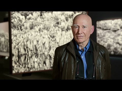 Sebastião Salgado's Amazonian odyssey: Sights and sounds of the forest ...