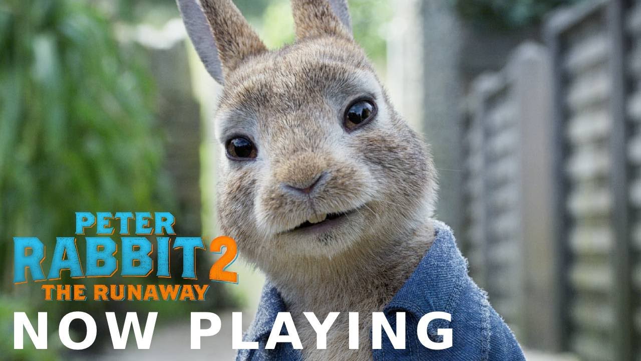 PETER RABBIT 2: THE RUNAWAY - Peter Is In The Theater - The Global Herald