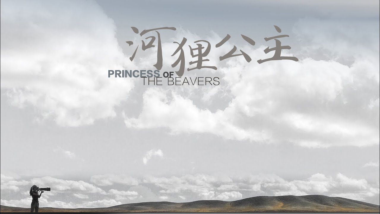 Princess of the Beavers: Young conservationist protects her endangered ...