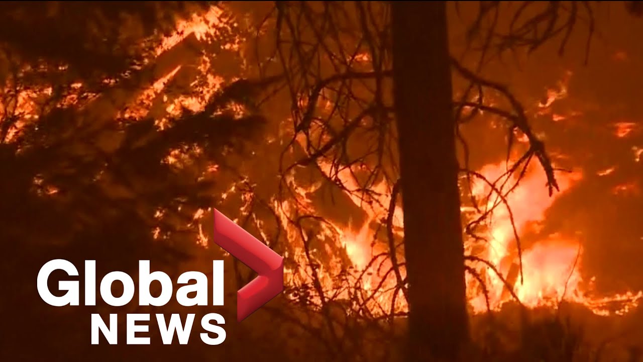 California's Dixie Fire continues to grow into 13th largest wildfire in ...