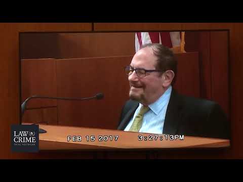 CA v. Robert Durst Murder Trial Day 35 -Video Testimony of Nick Chavin ...
