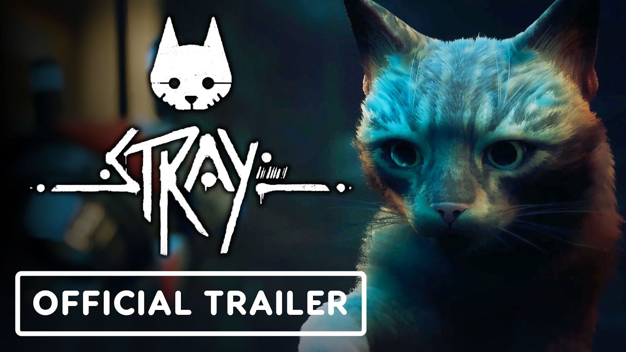 Stray - Official Gameplay & Release Window Trailer - The Global Herald
