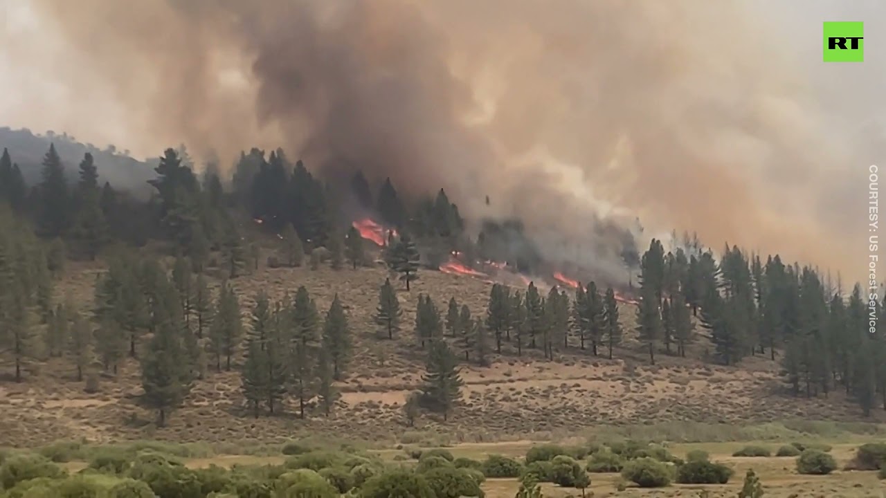 California’s largest wildfire burns over 80K acres - The Global Herald