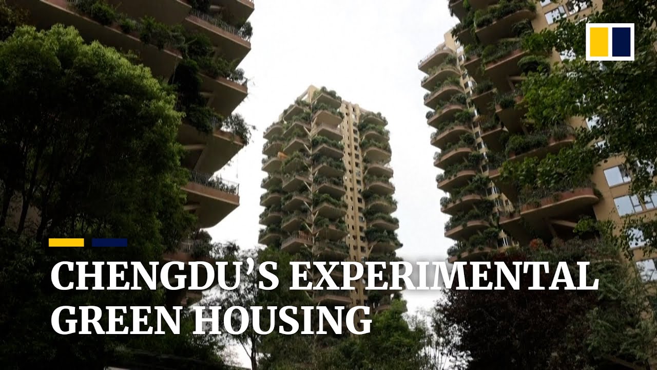 China’s ‘vertical forest’ residential complex offers urban green living ...