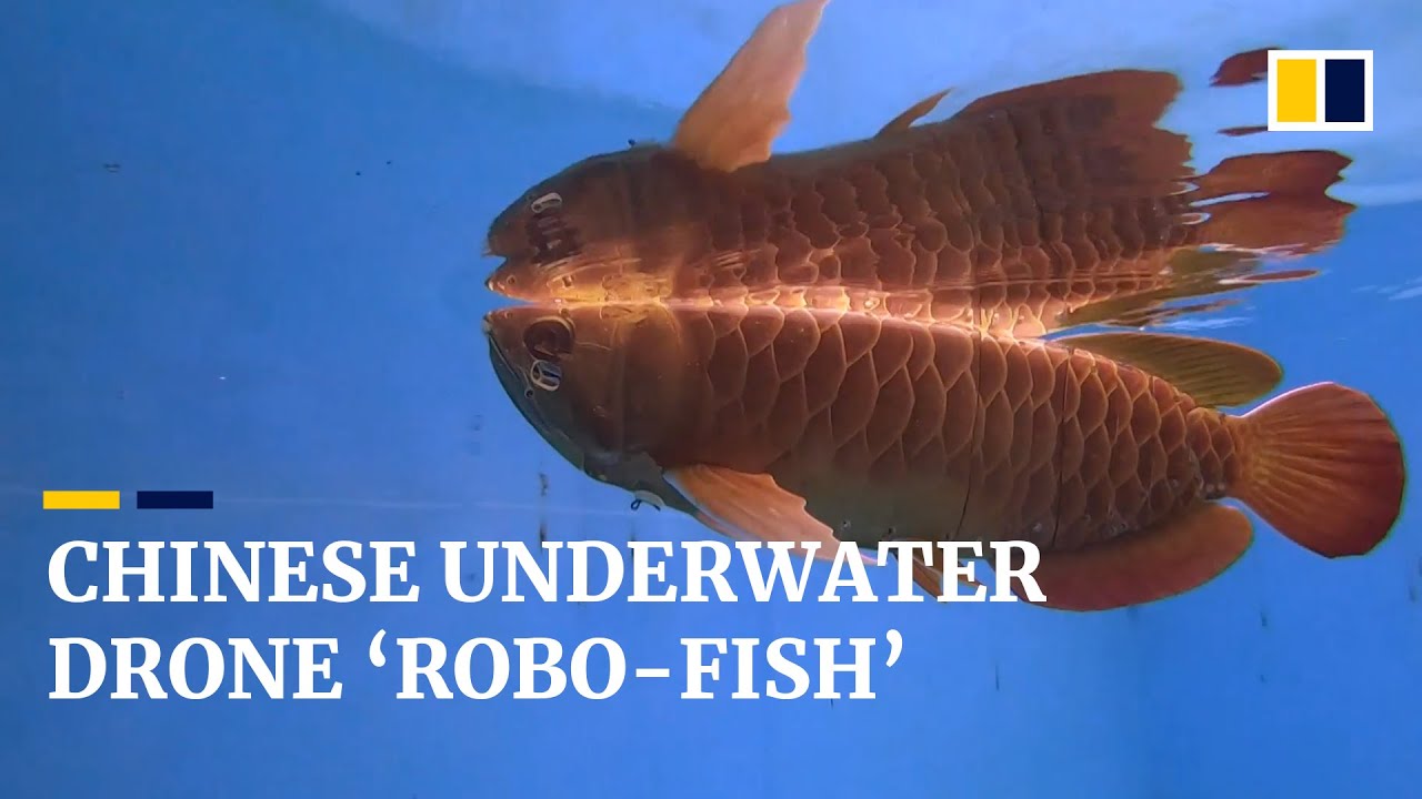 Chinese company creates fishlike underwater drone ‘Robo-Fish’ - The ...