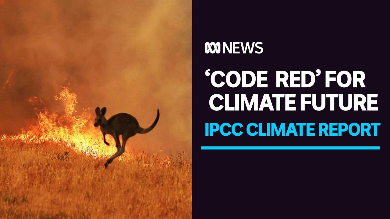Climate change report a 'code red for humanity', United Nations chief ...
