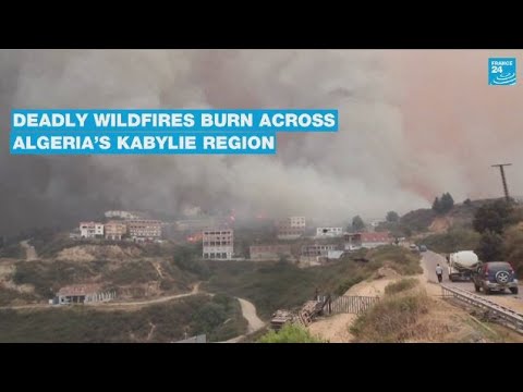 Deadly wildfires burn across Algeria’s Kabylie region • FRANCE 24 ...