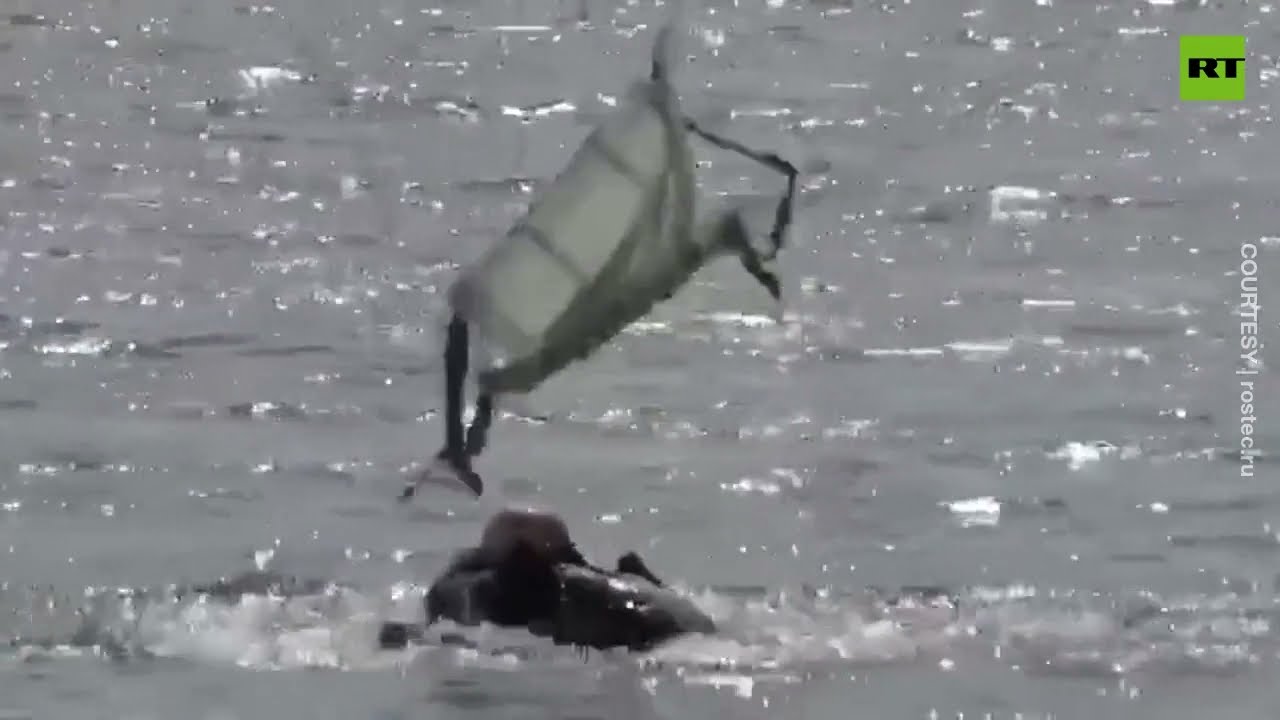 Advanced parachute designed for underwater combat - The Global Herald