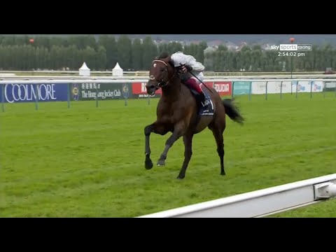 Special racehorse! Palace Pier goes back-to-back in the Prix Jacques Le ...