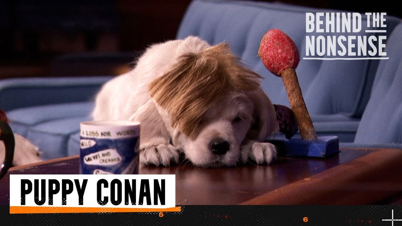 Behind The Nonsense: Puppy Conan | Team Coco - The Global Herald