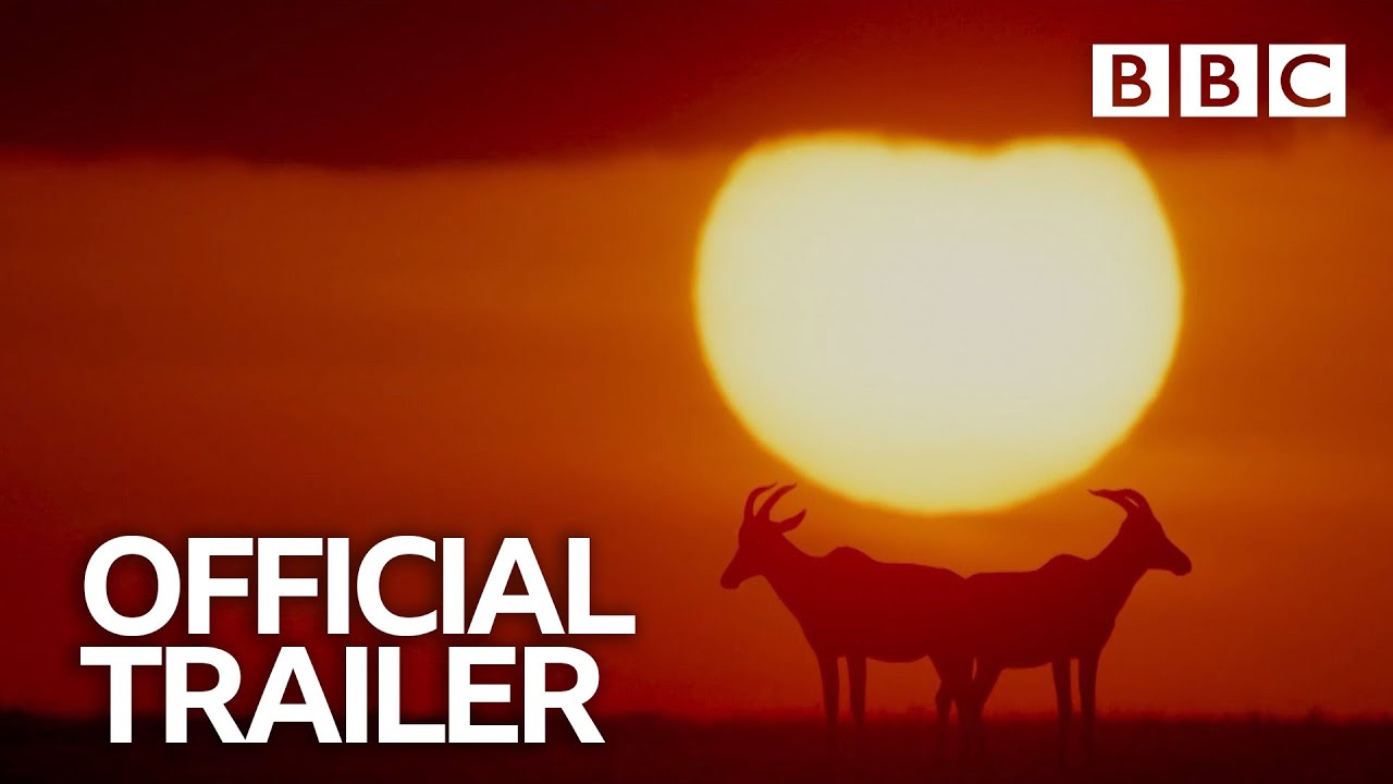 The Mating Game | David Attenborough | Trailer - BBC - The Global Herald