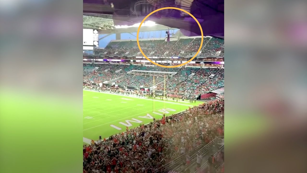 Spectators catch falling cat with flag at Florida stadium - The Global ...