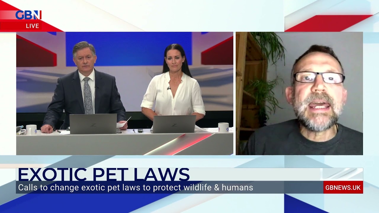 Exotic pet laws need overhaul to protect both wildlife and humans, say ...