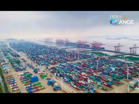 Live: A closer look at Meishan terminal of Ningbo-Zhoushan Port - The ...