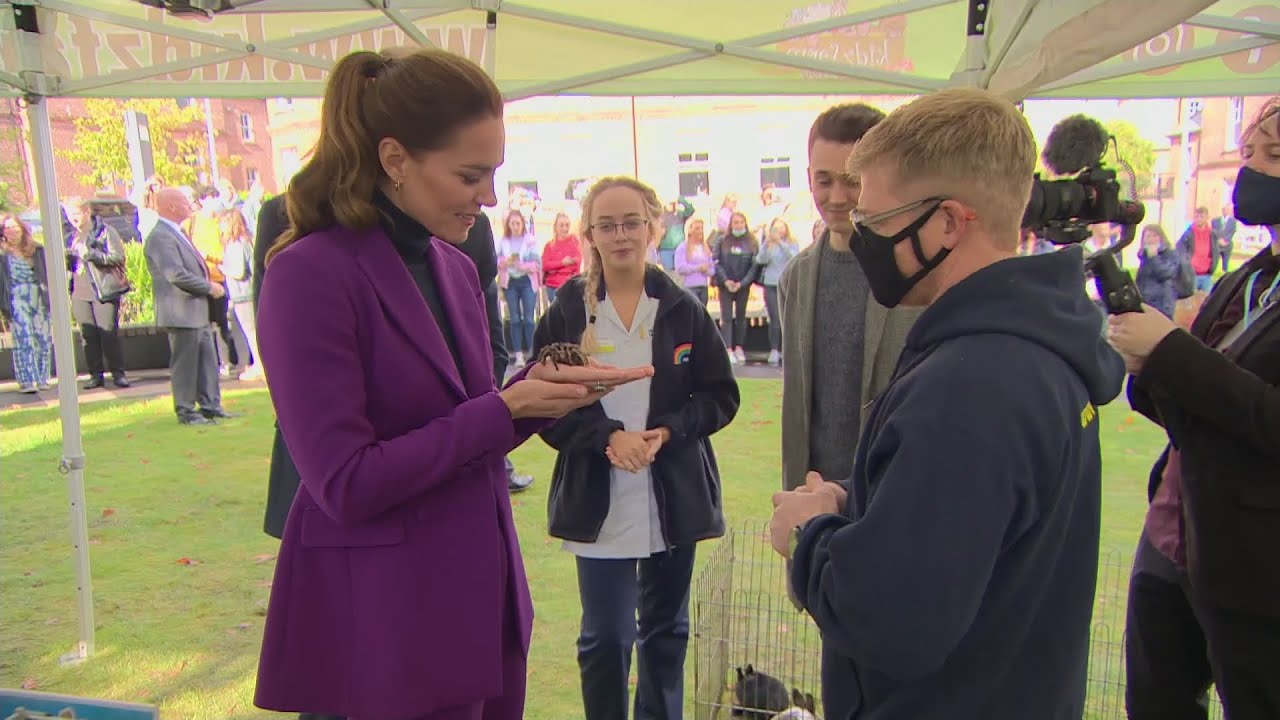 Kate meets tarantula… called Charlotte! - The Global Herald