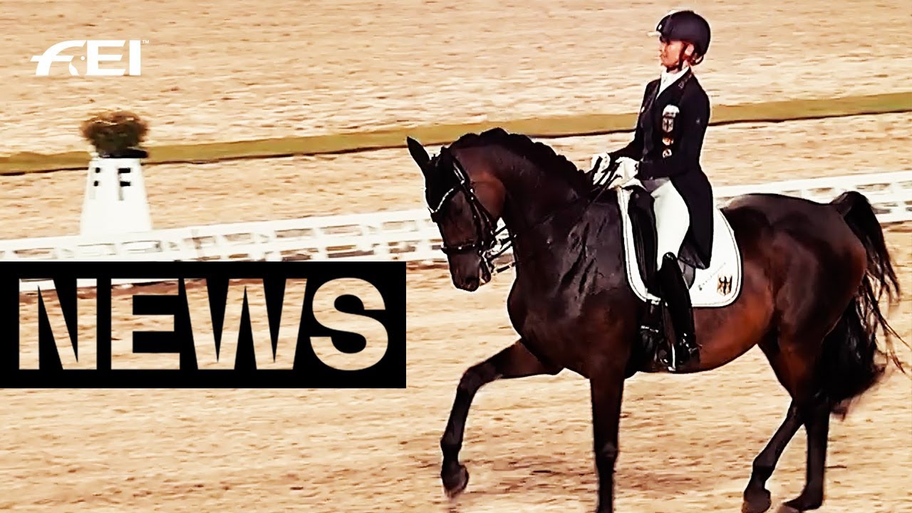 Champions of Europe! 🥇 Jessica & Dalera dance into Gold | News | FEI ...