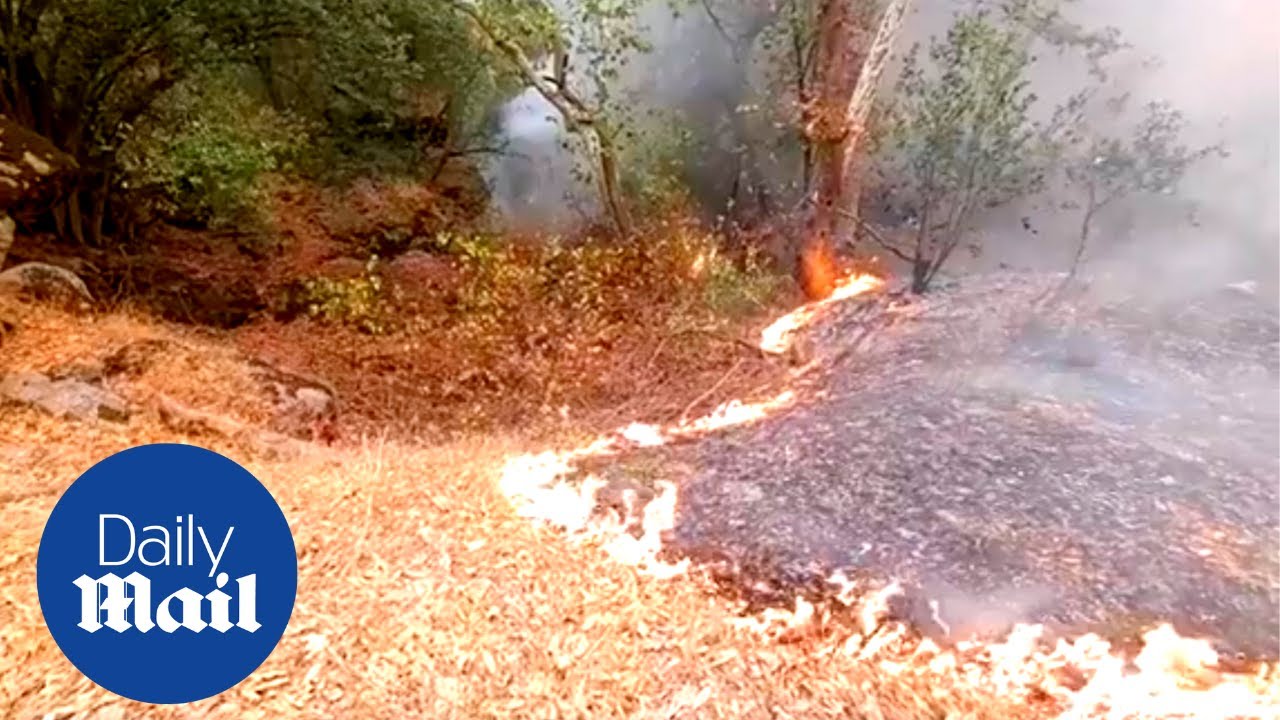 Windy Fire: California wildfires are getting closer to General Sherman ...