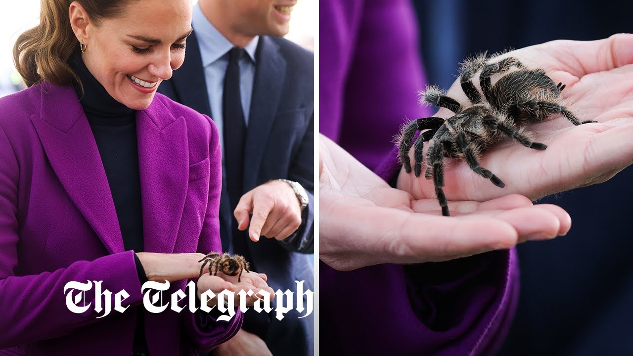 Duchess of Cambridge holds tarantula on visit to Northern Ireland - The ...