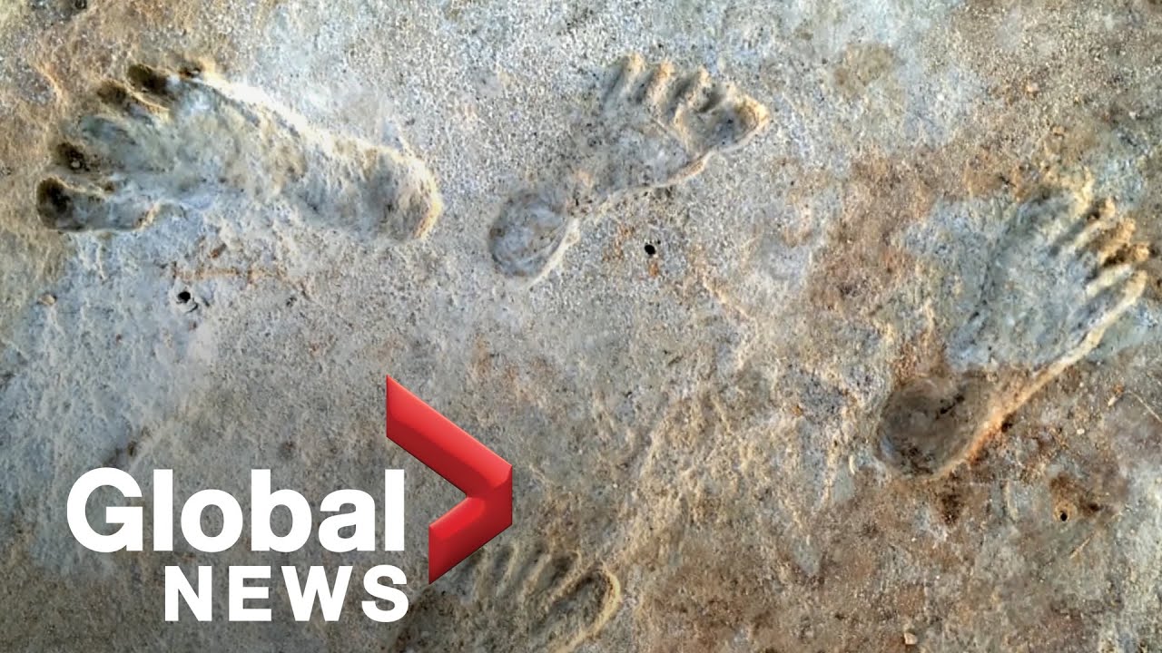 Prehistoric pedestrians: Oldest human footprints in North America found ...