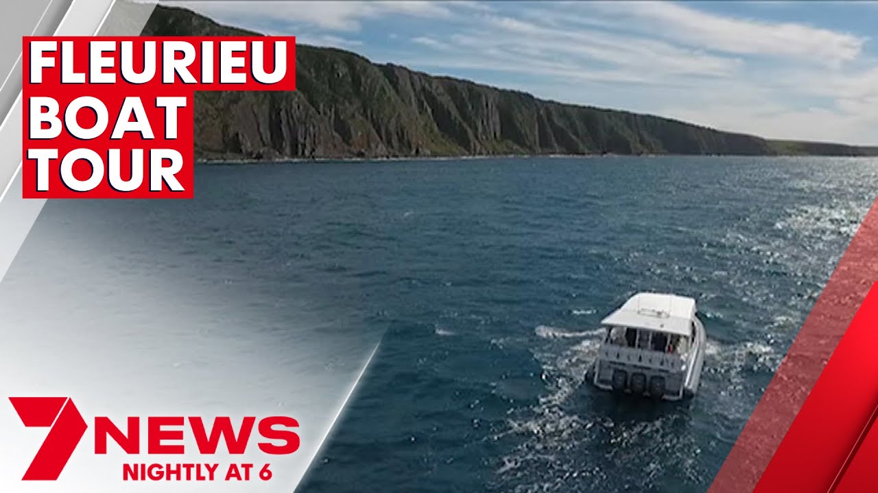 New boat tour to show off the best of Encounter Marine Park on Fleurieu ...