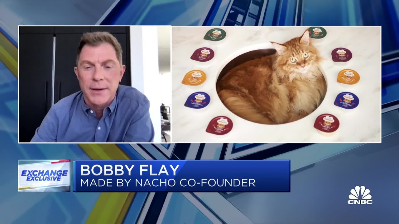 Bobby Flay on why he developed cat food brand Made by Nacho: I've been ...