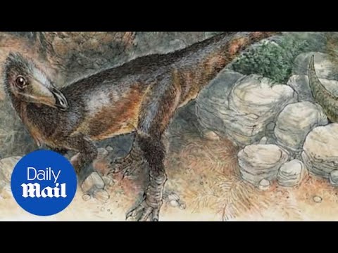 Bizarre chicken-sized dinosaur and T-Rex relative discovered in the UK ...