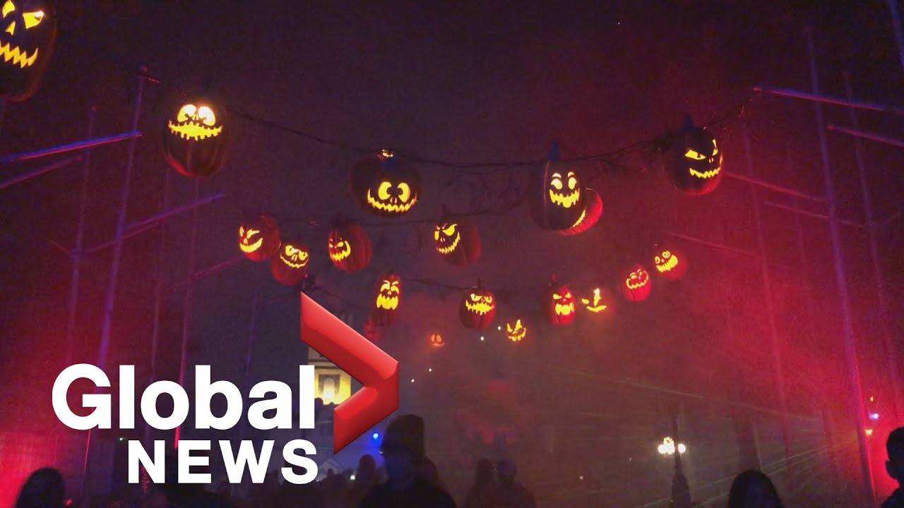 Psychology of fear: Why we love being spooked - The Global Herald