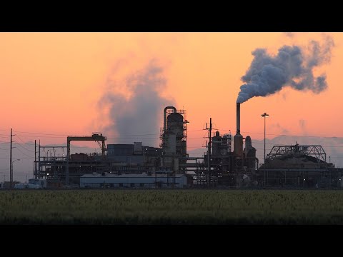 A closer look at the global energy shortage - The Global Herald