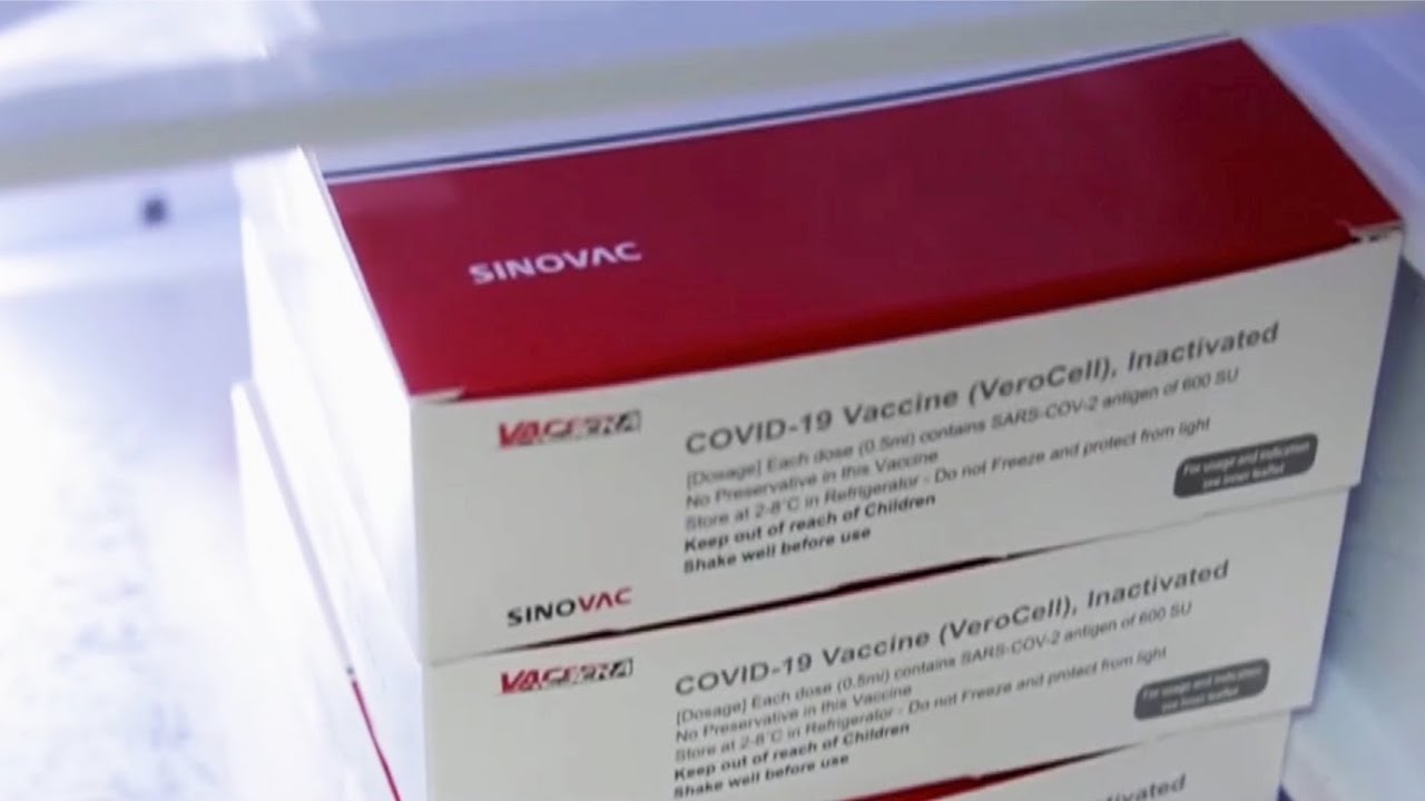 Egypt set to approve Sinovac and Pfizer vaccines for children - The ...
