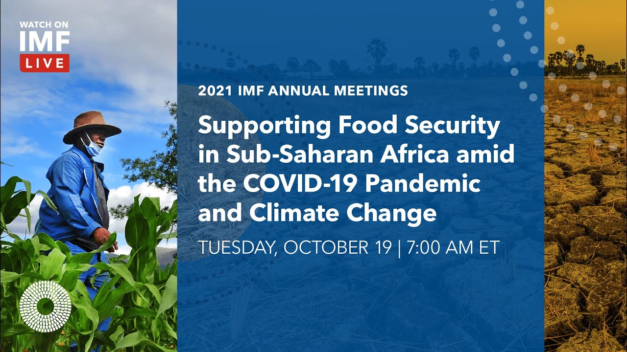 Supporting Food Security in Sub-Saharan Africa amid the COVID-19 ...