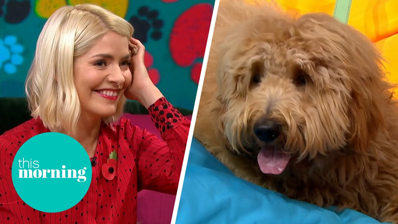 Ned The Dog Steals The Show Whilst Discussing The UK's First TV Channel ...
