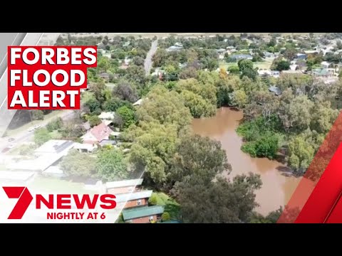 Lachlan River continues to rise, Forbes residents on flood alert ...
