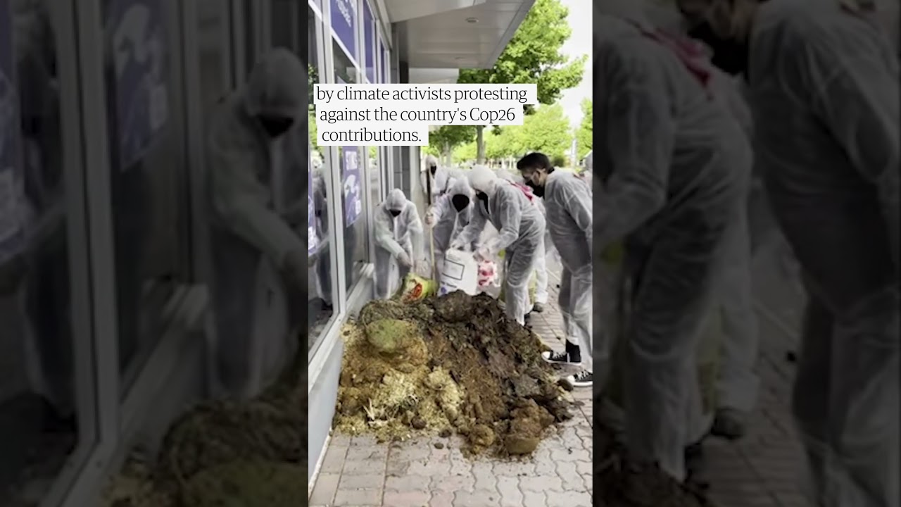 ‘Glasgow was a shitshow’: Climate activists’ Cop26 poo protest #shorts ...