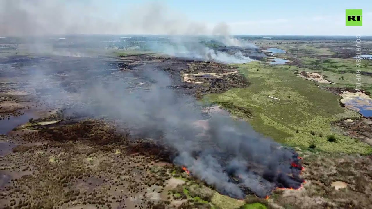 Devastating forest fire RAVAGES Argentinian national park - The Global ...