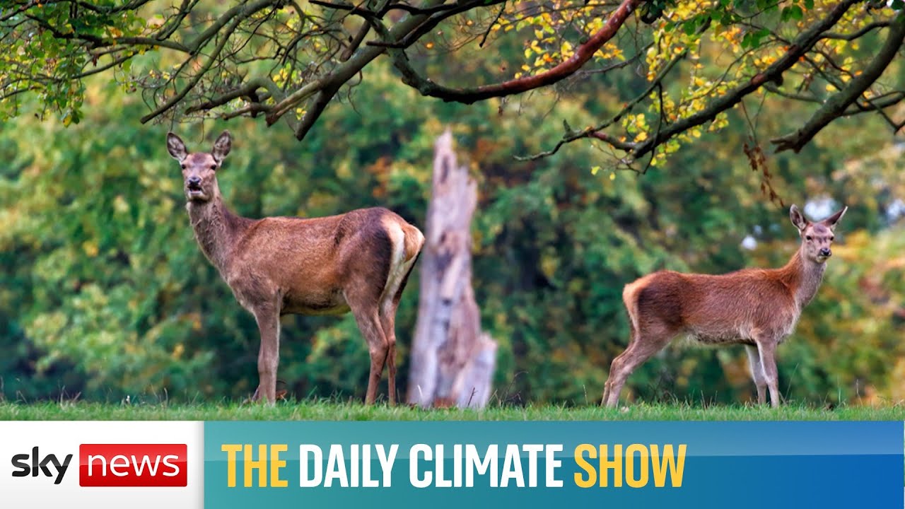 Should we return our land to nature? - The Global Herald