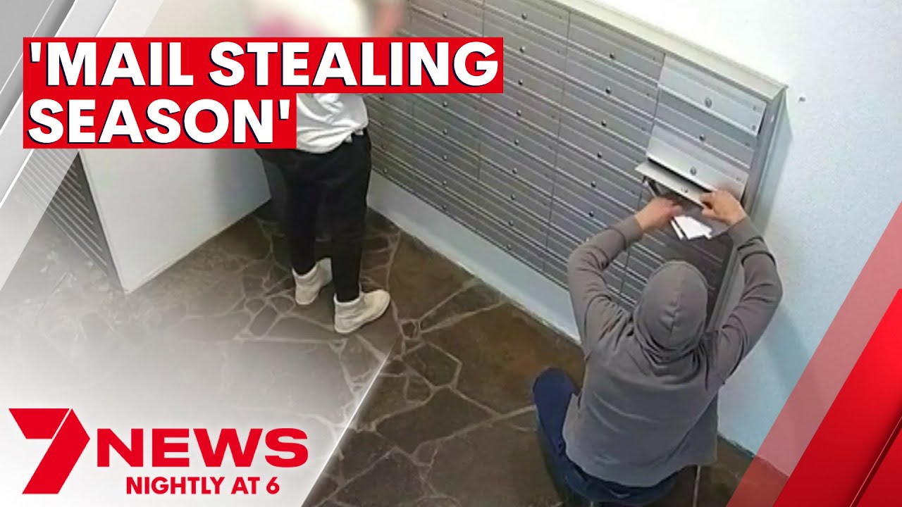 Top tips to avoid your Christmas parcels being stolen from your ...