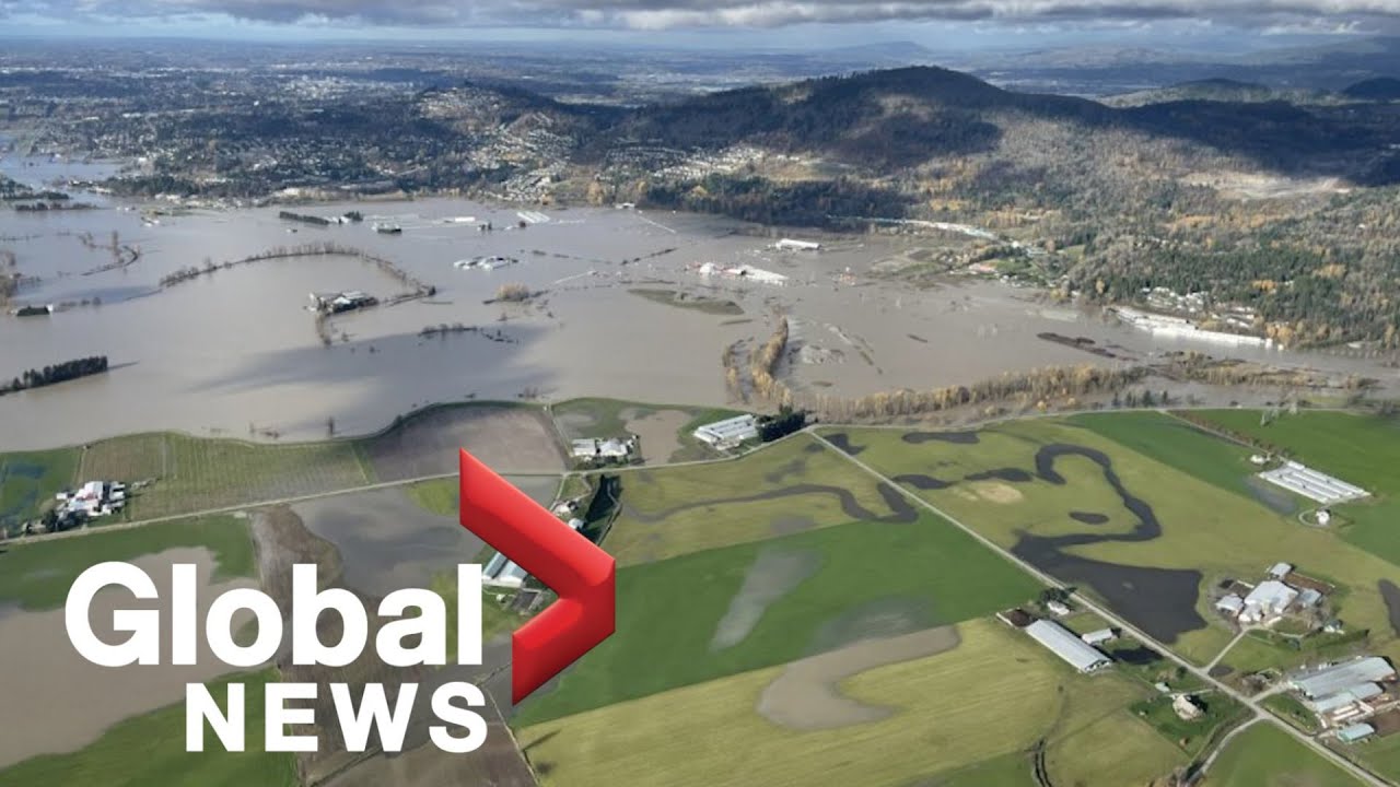 BC floods: The financial and emotional impact on the province’s farmers ...