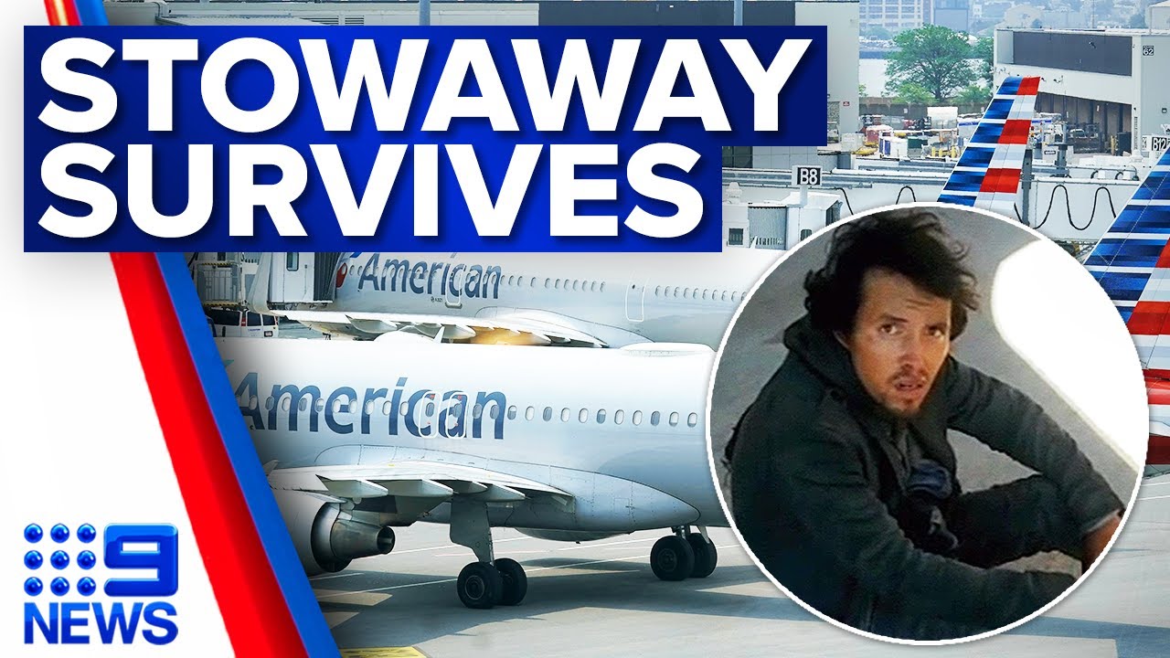 Stowaway survives flight hidden in plane’s landing gear | 9 News ...