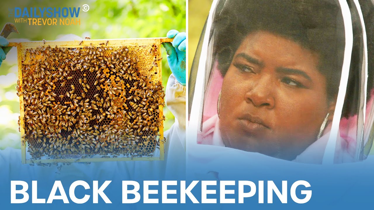 The Life of a Black Beekeeper - Black Monomyth | The Daily Show - The ...