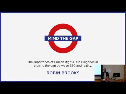 The Gap Between ESG and Reality and the Importance of Human Rights Due ...