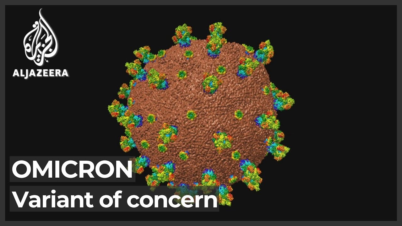 WHO designates new COVID strain Omicron as ‘variant of concern’ - The ...