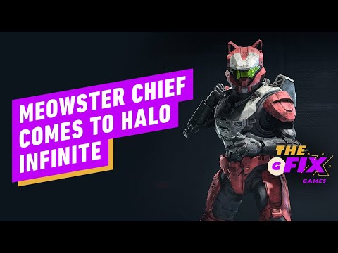 Meowster Chief Comes to Halo Infinite - IGN Daily Fix - The Global Herald