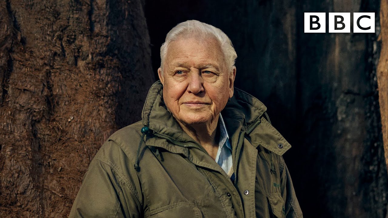 The Green Planet | Trailer BBC - The Global Herald