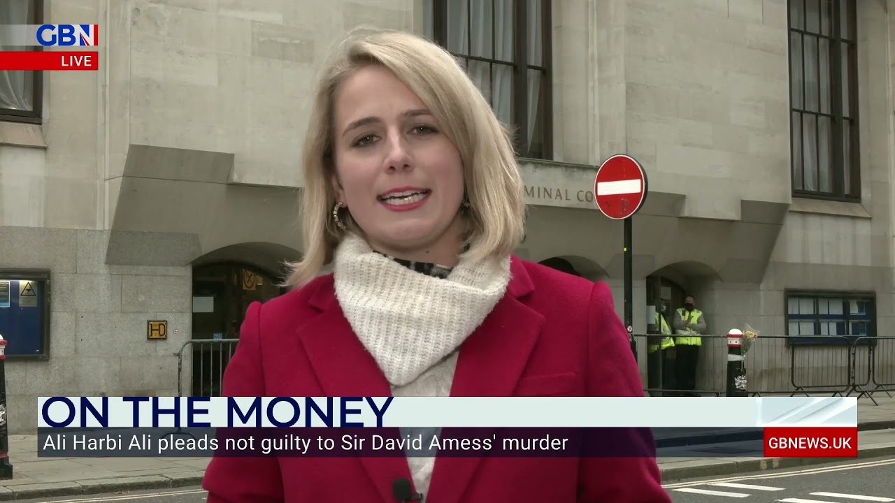 Ali Harbi Ali pleads not guilty to the murder of Sir David Amess ...