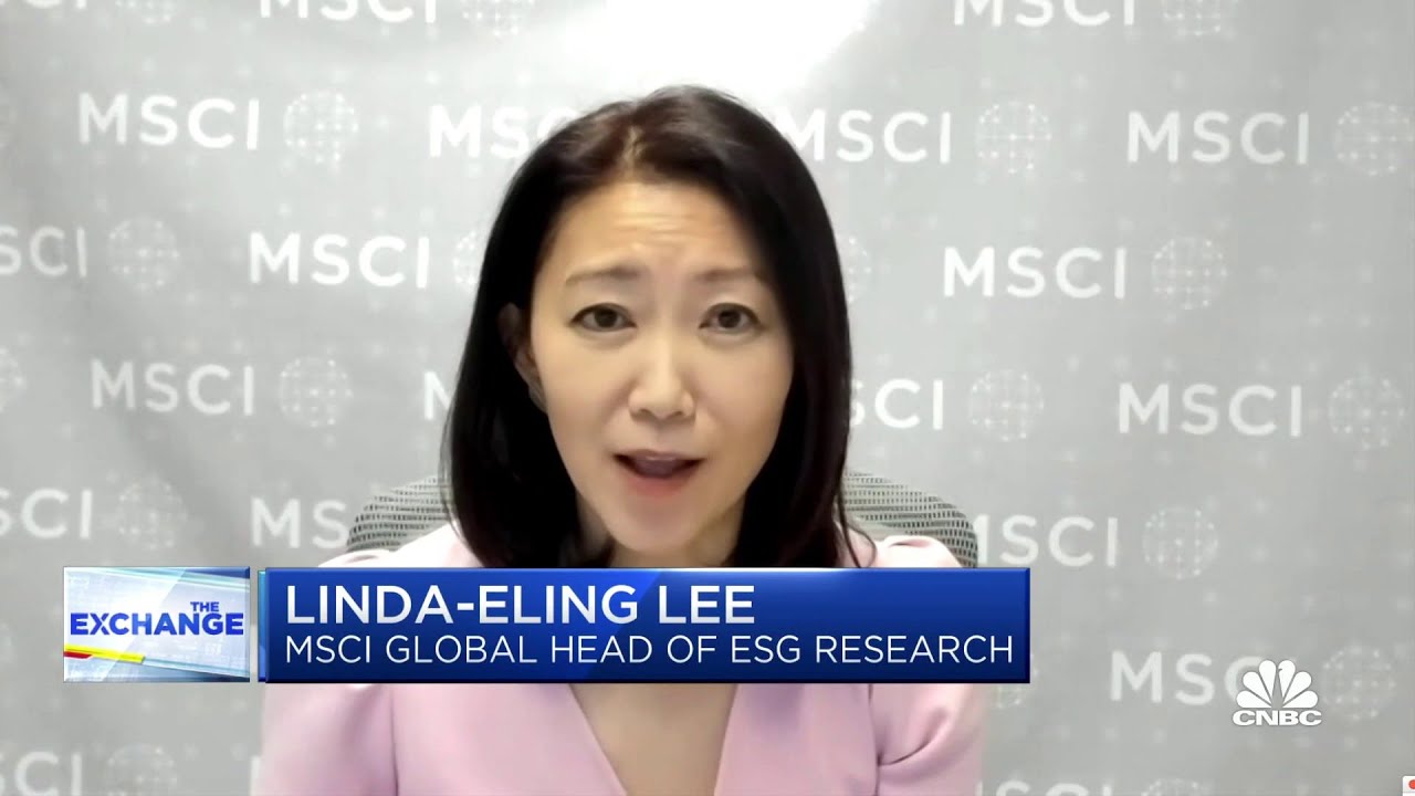 MSCI Global Head of ESG Research warns Big Tech could feel ESG ...