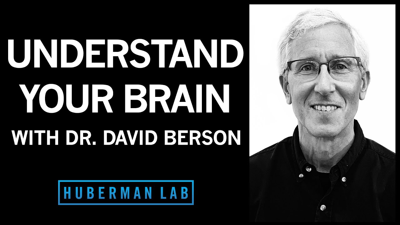 Dr. David Berson: The Logic & Function of Your Brain’s Circuits ...