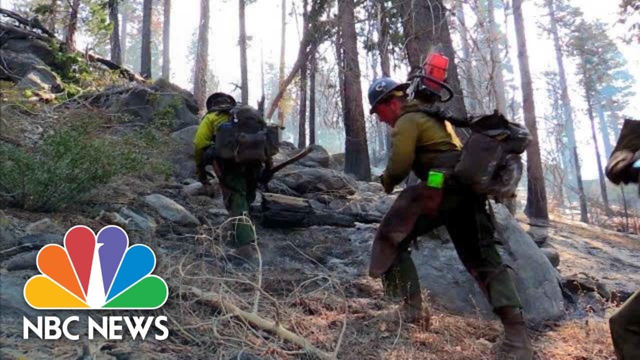 How The Elite U.S. Forest Service Hotshots Battle Wildfires - The ...