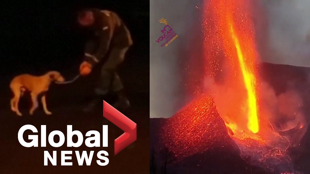 La Palma volcano: Video shows new strombolian eruption, police rescue ...